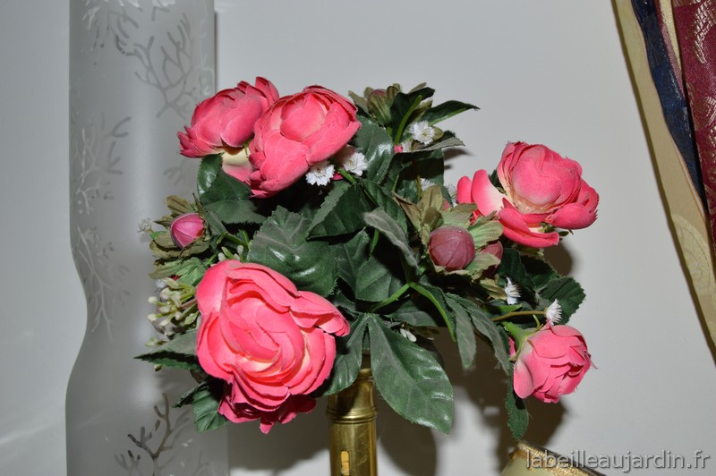 La rose facile à cultiver – BRICOLOKID.COM